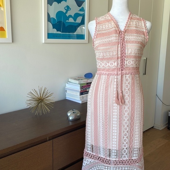 Anthropologie | Dresses | Anthropologie Foxiedox Pink Mermaid Lace ...